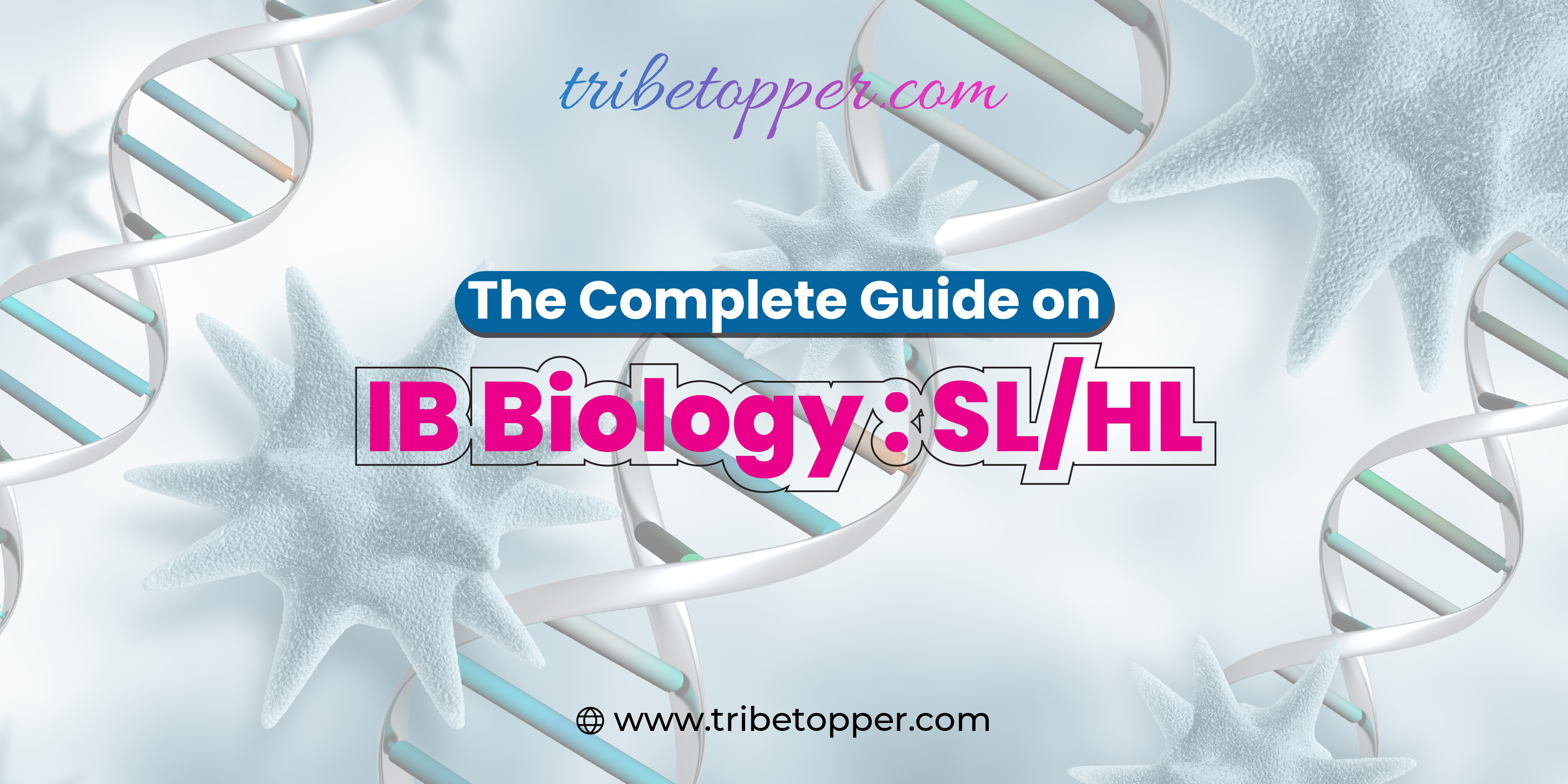 The Complete Guide on IB Biology: SL/HL Complete Guide on IB Biology ...